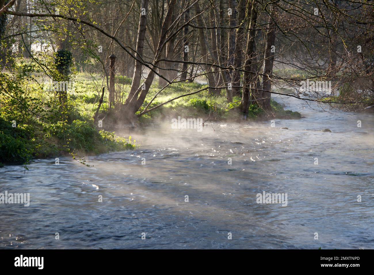 Early morning light on the Fonthill Brook in Tisbury, Wiltshire Stock ...