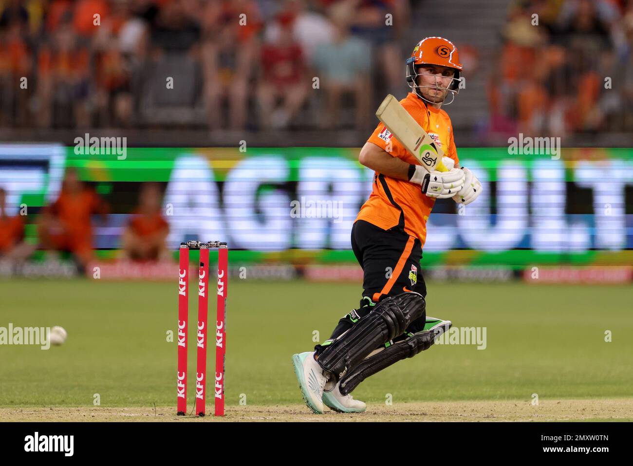 Josh Inglis of the Scorchers bats during the the BBL (Big Bash League ...