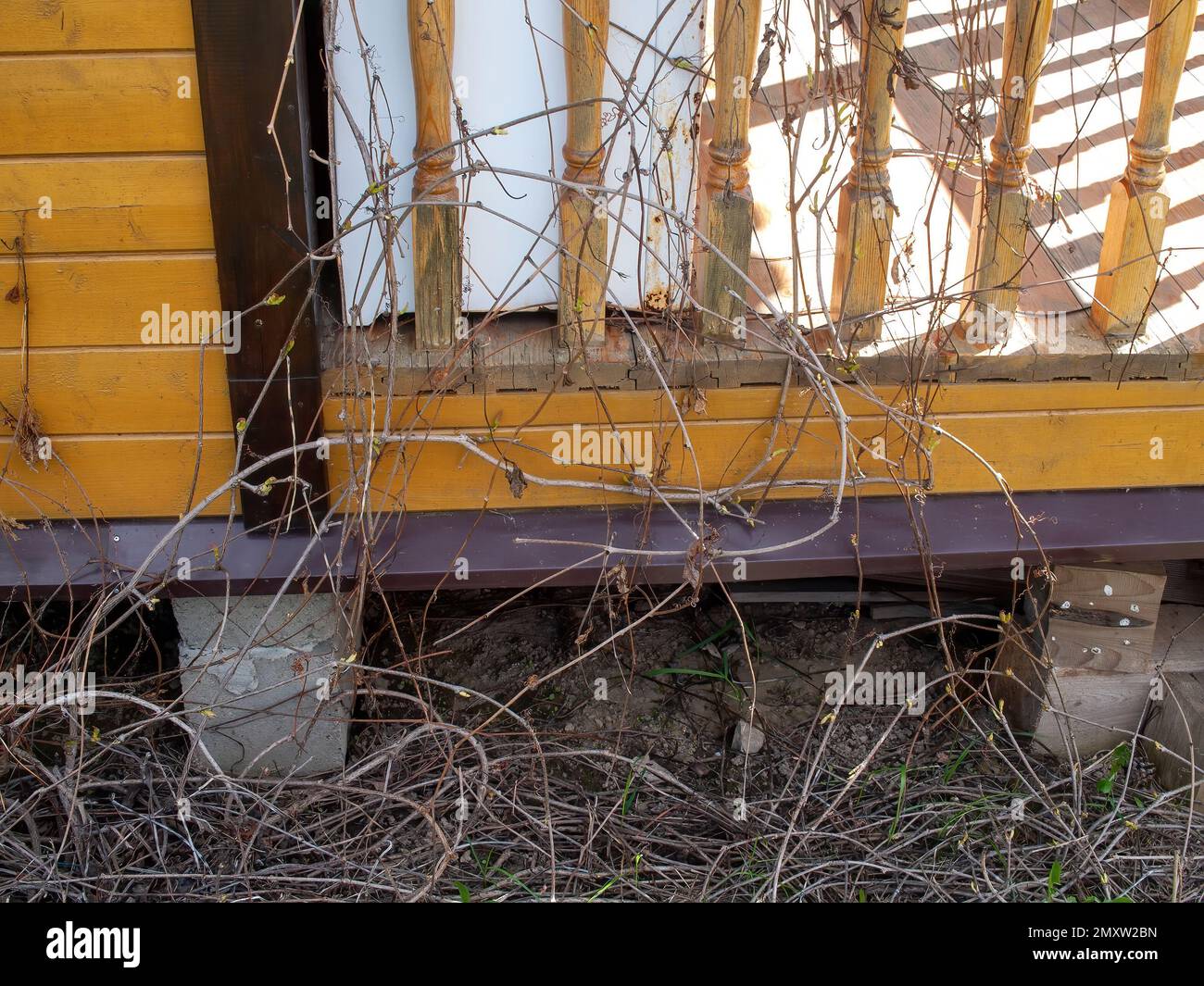 wooden fences of the village veranda, in spring Stock Photo - Alamy