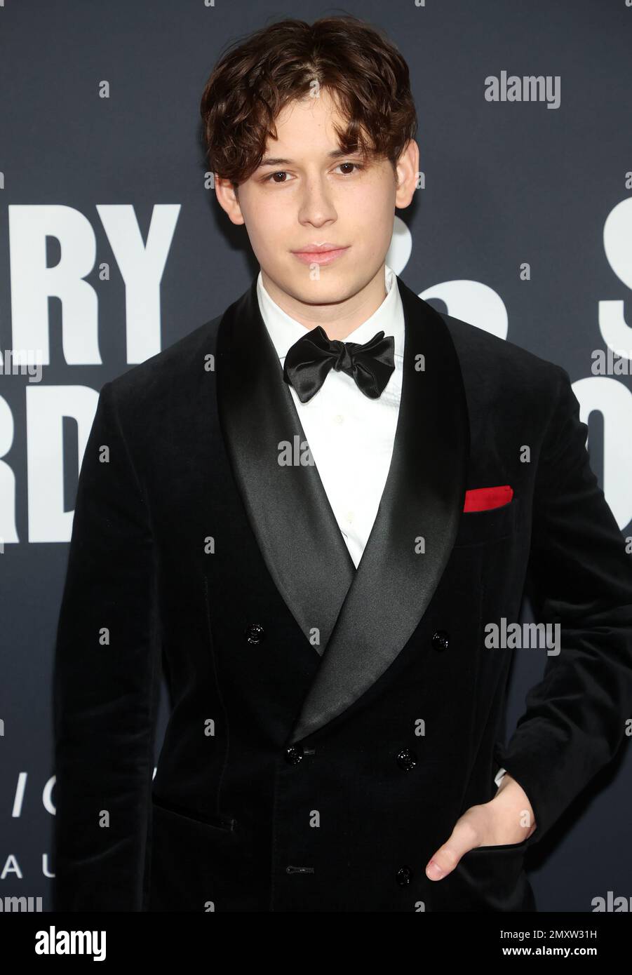 3 February 2023 -Los Angeles, California - Ari Elkins. 2023 MusiCares ...