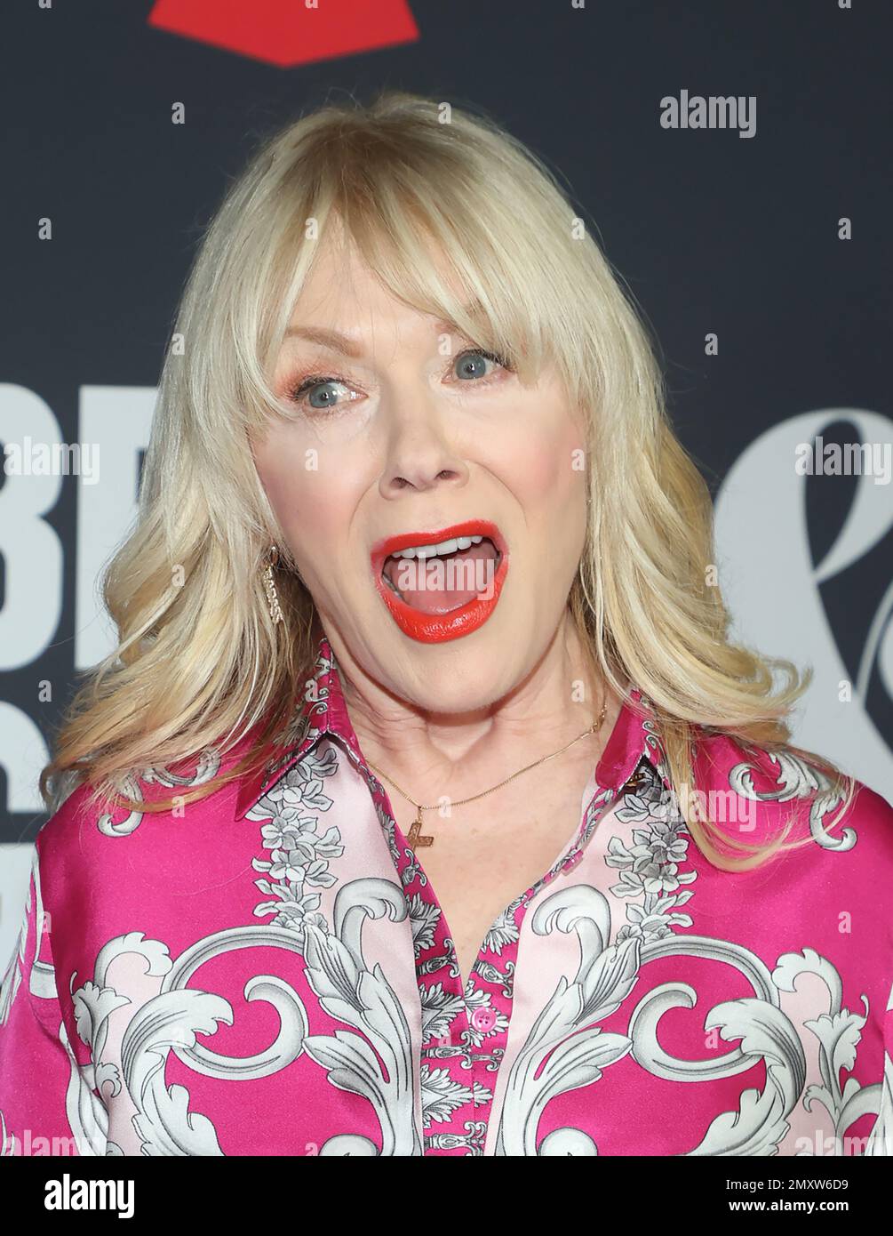 3 February 2023 -Los Angeles, California - Nancy Wilson. 2023 MusiCares ...