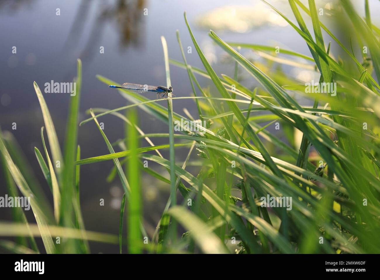 Changbai island hi-res stock photography and images - Alamy