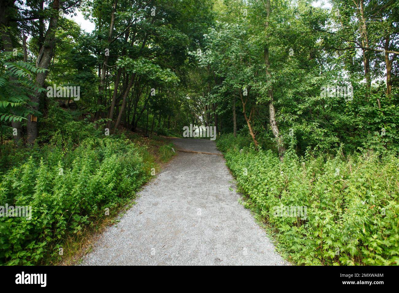 In this July 7, 2016 photo, a portion of the cross country running ...