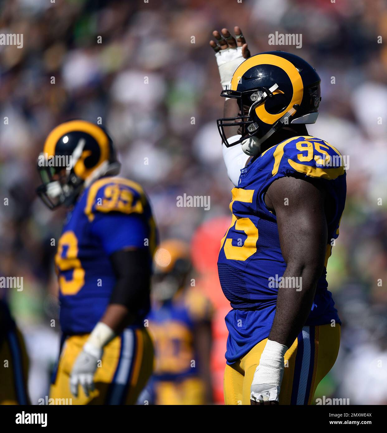 Los Angeles Rams defensive end William Hayes (95) in action during the ...