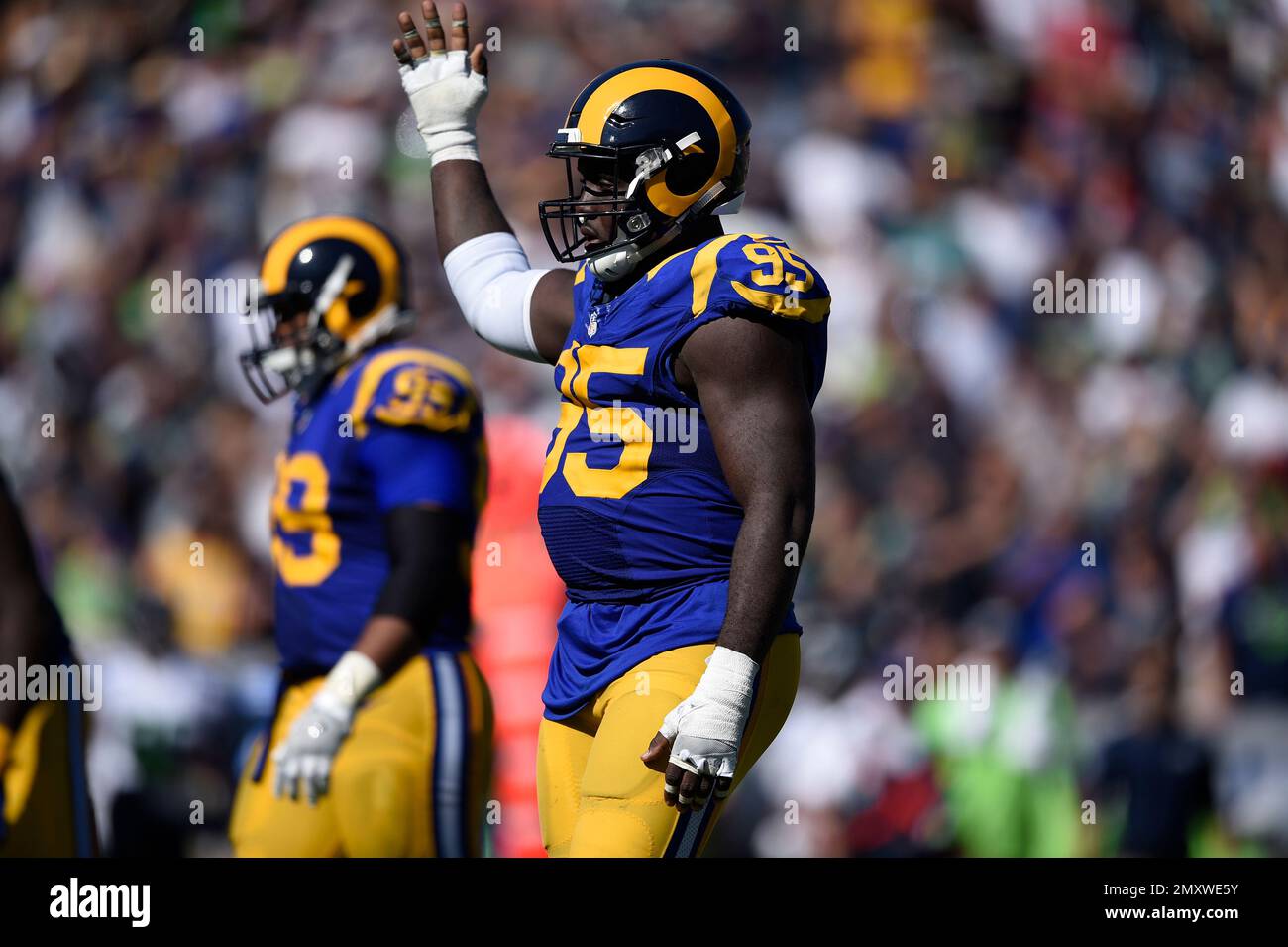 Los Angeles Rams defensive end William Hayes (95) in action during the ...