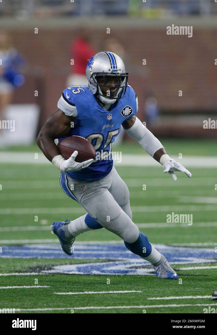 Detroit Lions running back Theo Riddick (25) carries the ball against ...