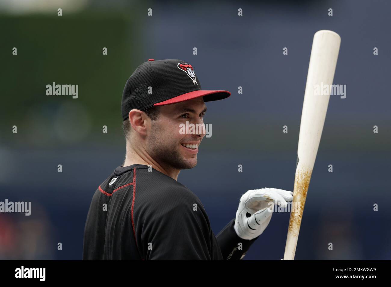 Arizona Diamondbacks first baseman Paul Goldschmidt reacts during ...