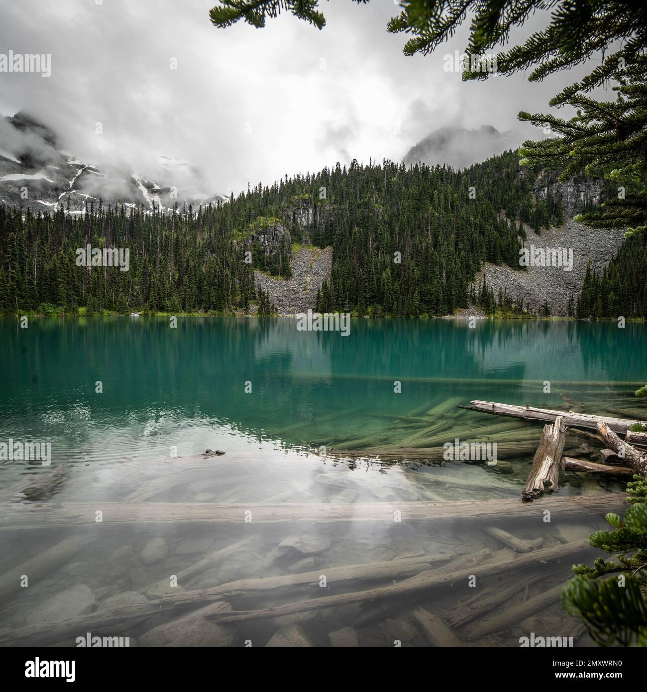 A scenic view of tree logs floating on a glacial lake against mountains ...
