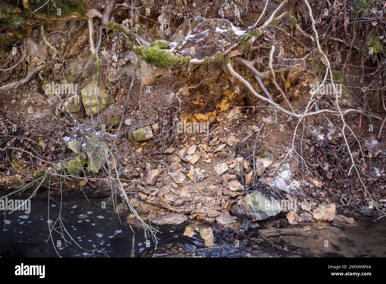 The crumbling bank near the stream, composed of limestone and marl ...