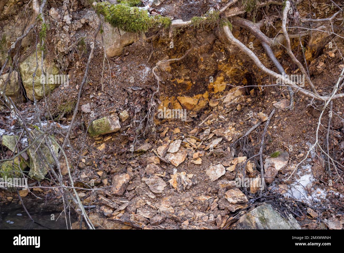 The crumbling bank near the stream, composed of limestone and marl ...