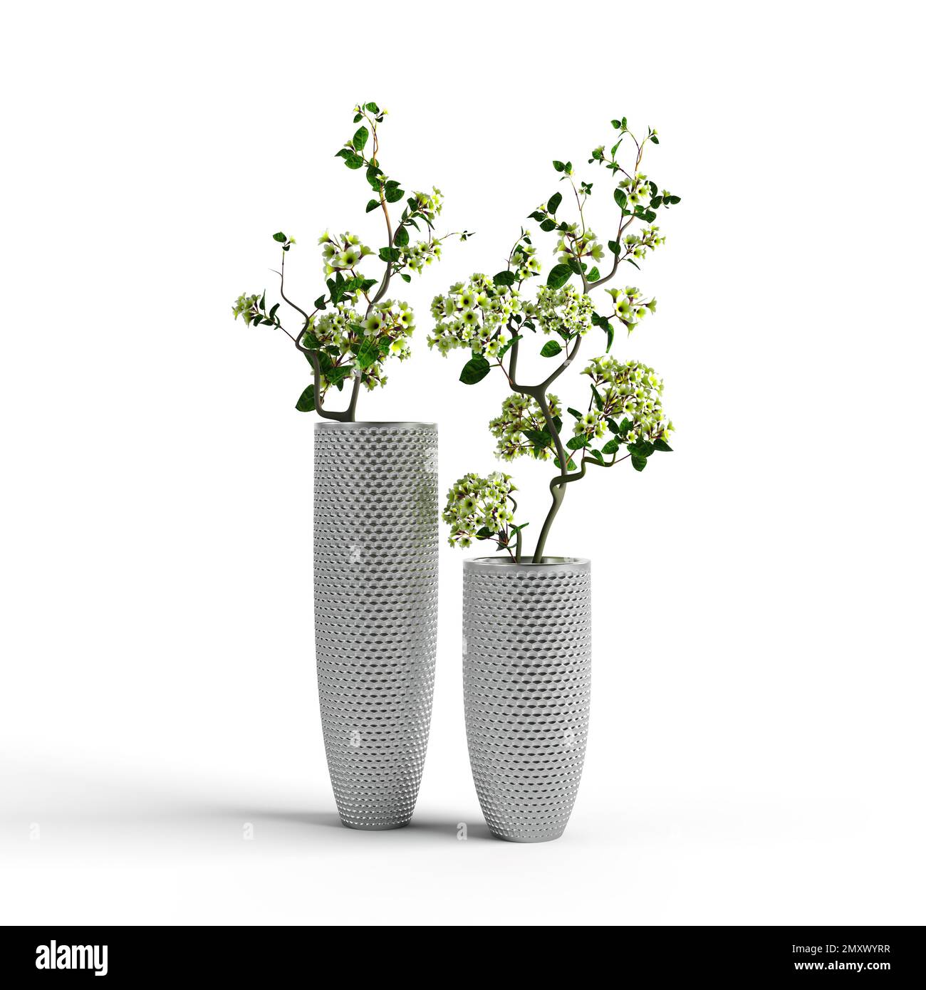 Two identical flowers hi-res stock photography and images - Alamy