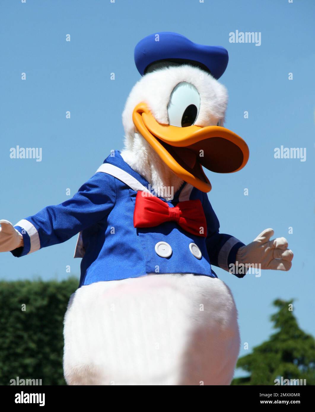 White rabbit from the Disney movie Alice in Wonderland with his watch ...