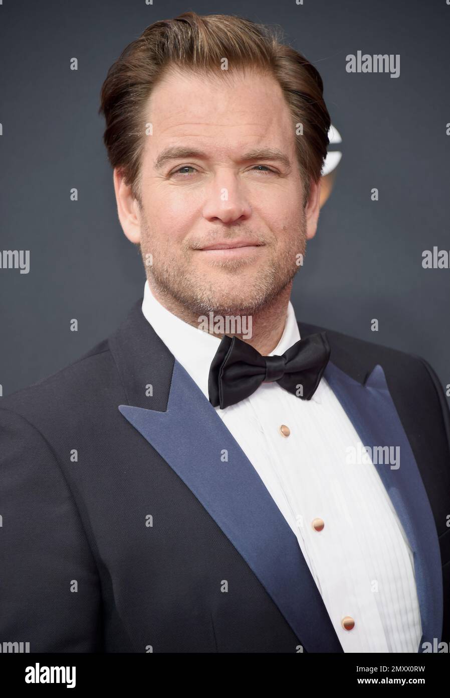 Michael Weatherly arrives at the 68th Primetime Emmy Awards on Sunday ...