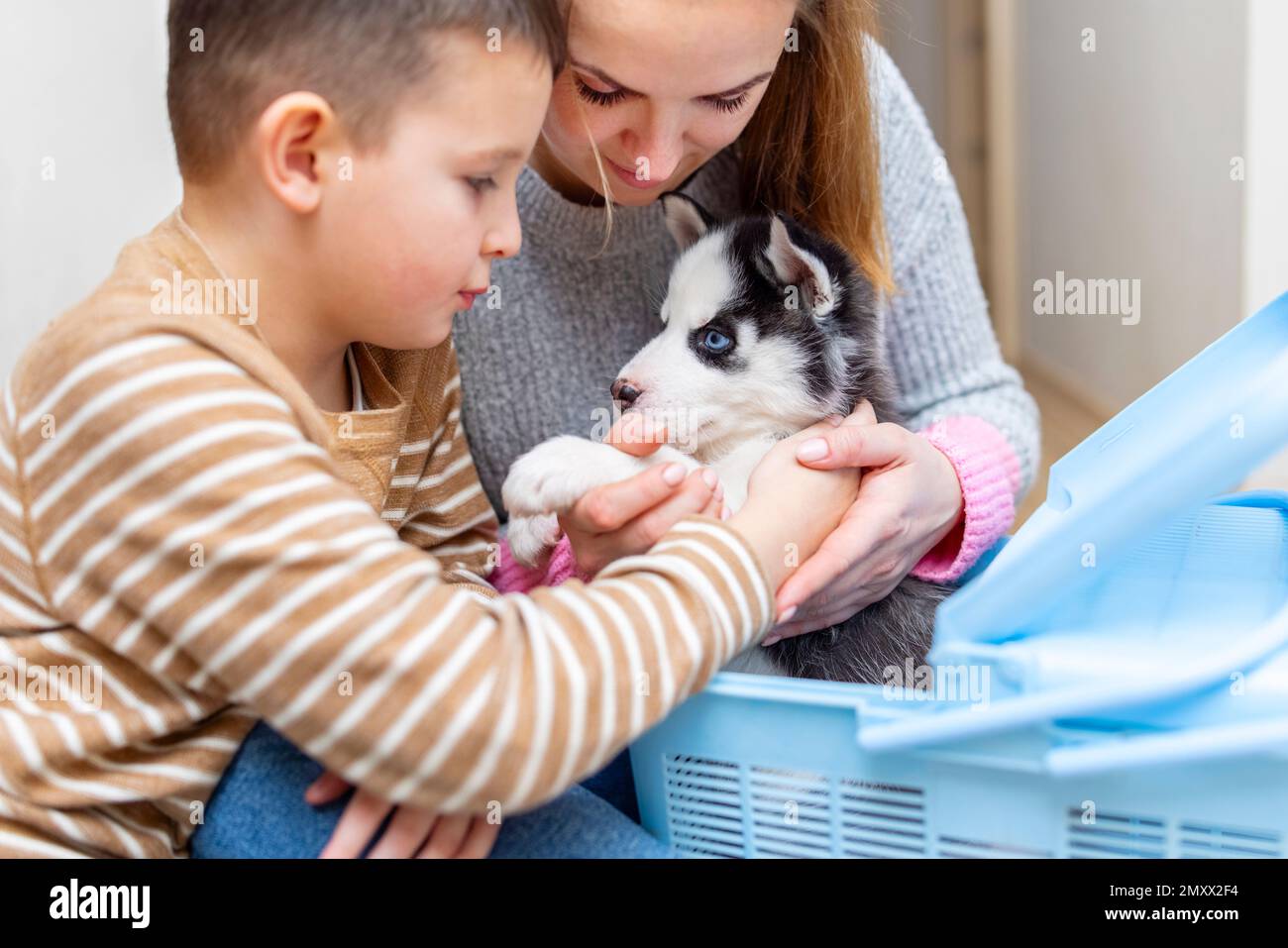 Children playing husky dog hi-res stock photography and images - Alamy