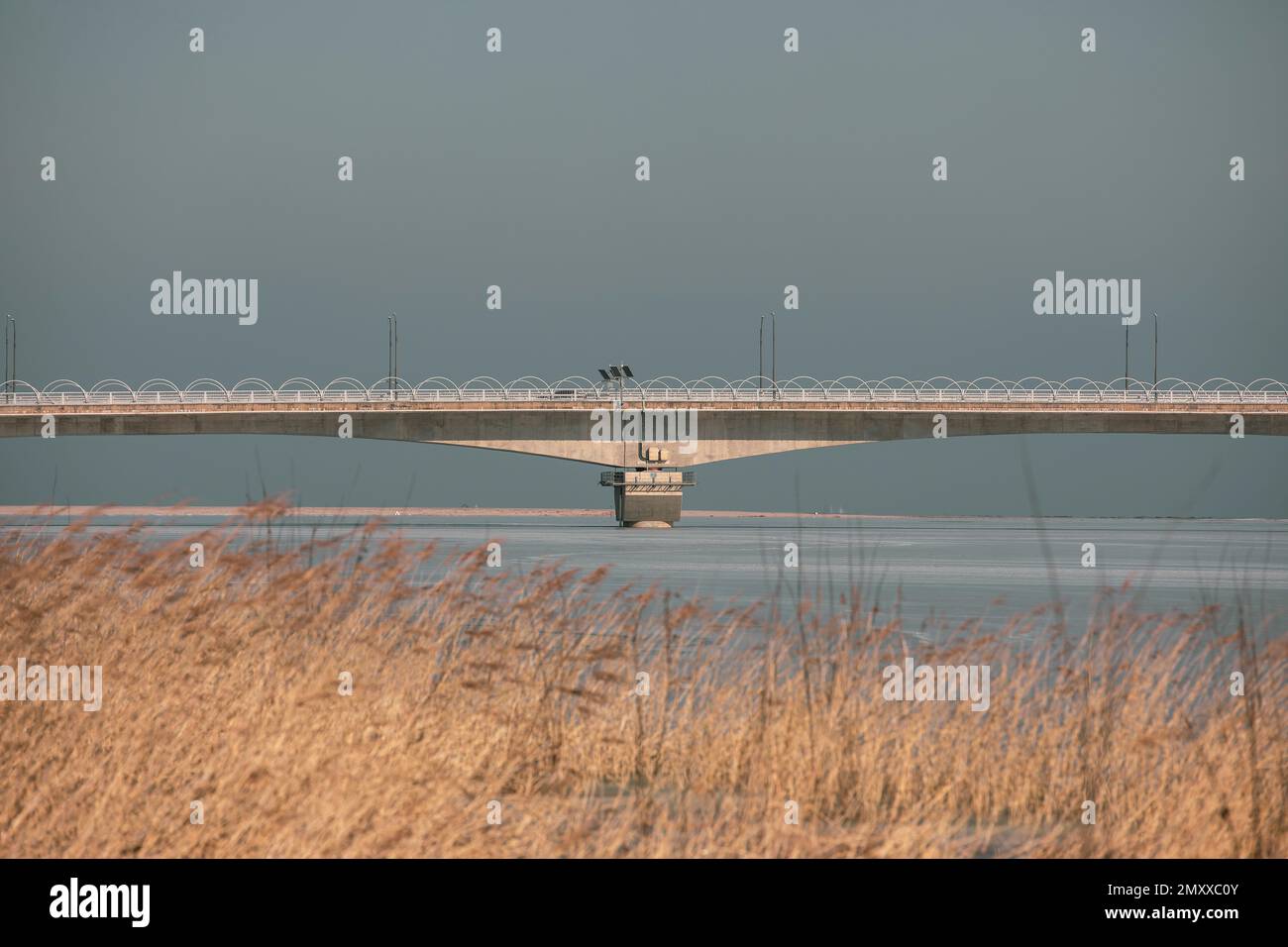The Gangwon-do Province Reed Bridge over the river in the background of ...