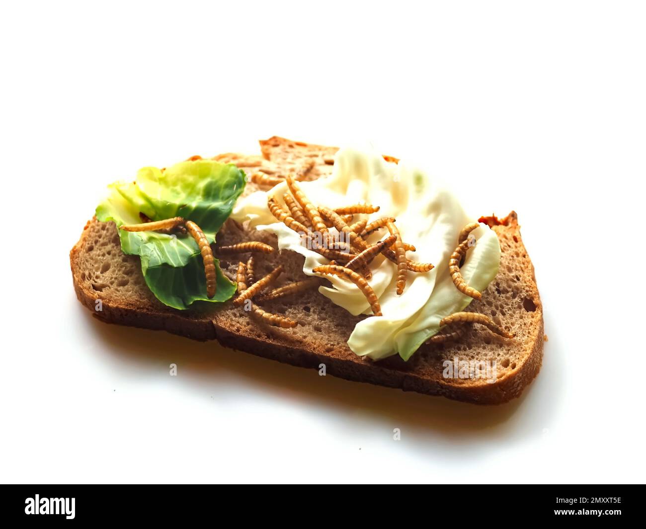 Mealworms approved as human food on white background Stock Photo - Alamy