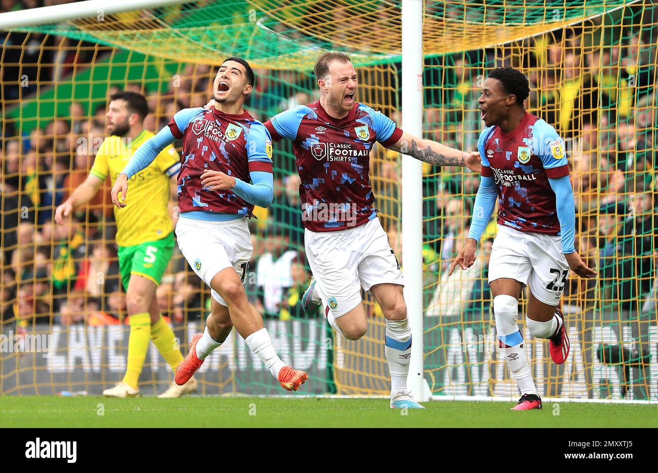 Norwich ashley barnes hi-res stock photography and images - Alamy