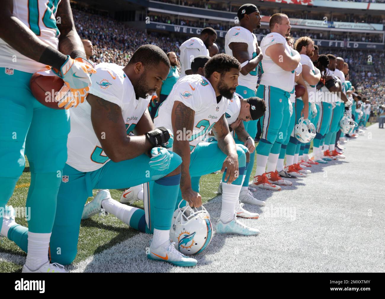 Jelani Jenkins Dolphins