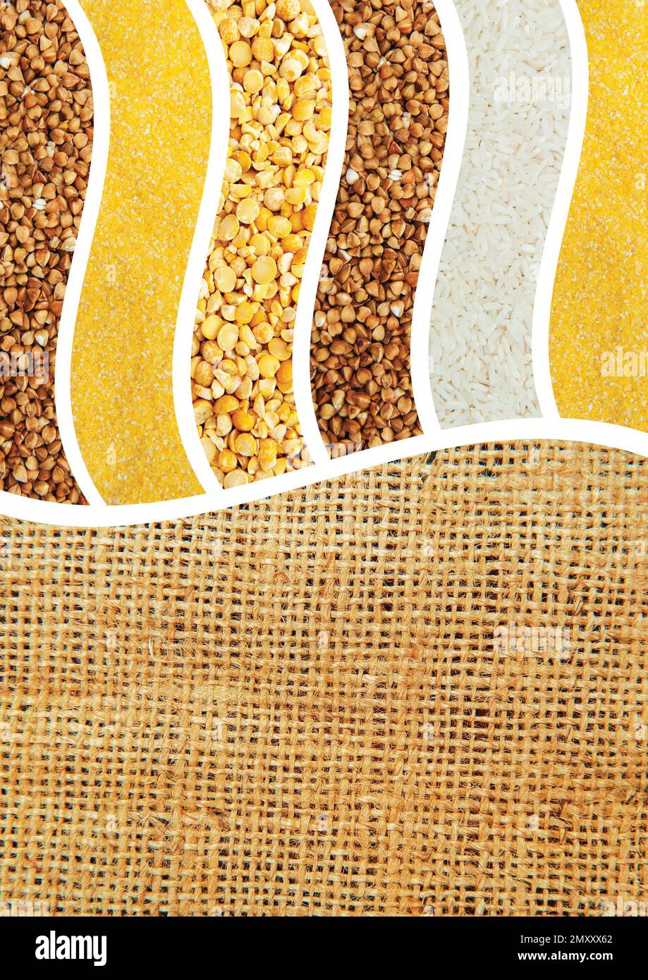 types of different grains buckwheat, chickpeas, rice, corn and burlap ...