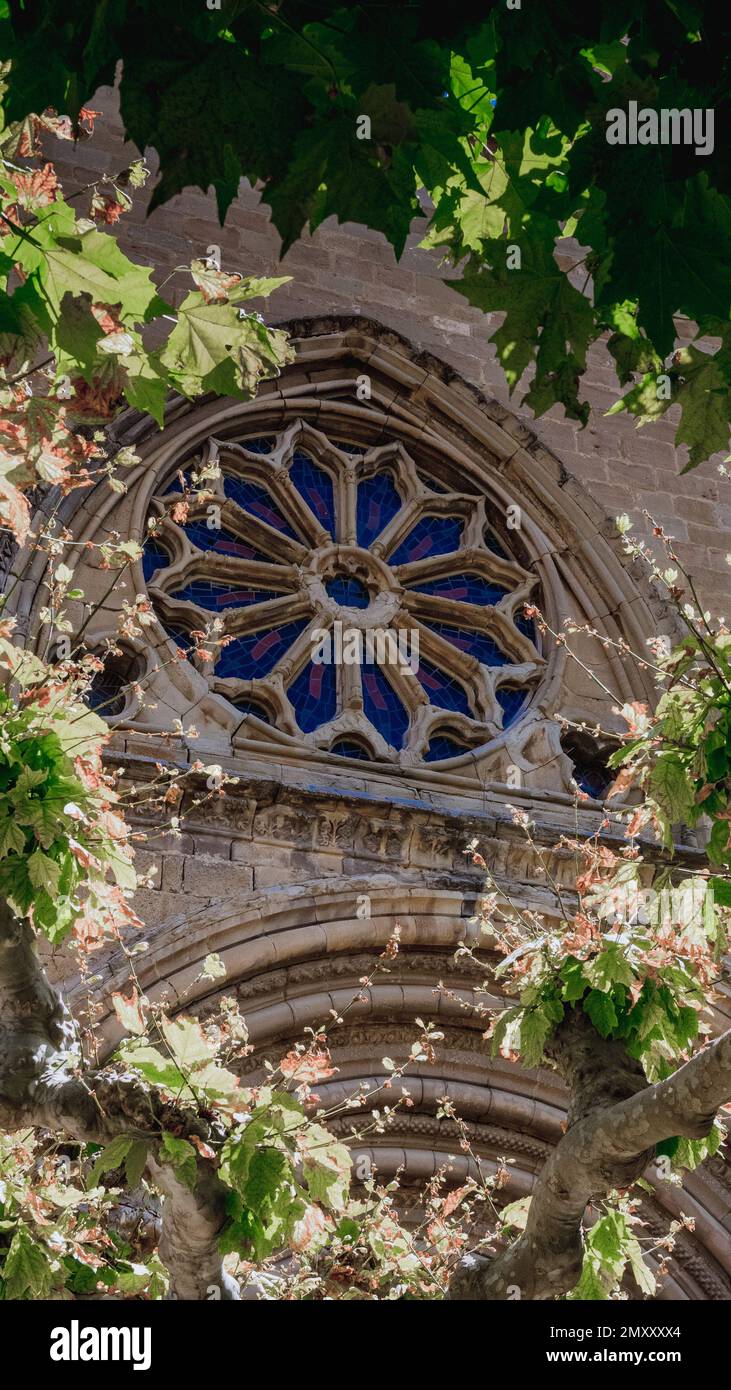 A rosette stained glass window of an old church building with tree ...
