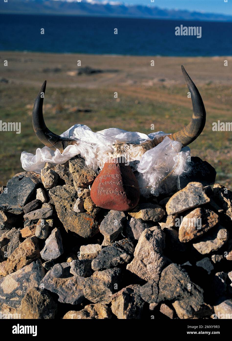 Namtso lake in Tibet yak Angle on the mani pile Stock Photo - Alamy