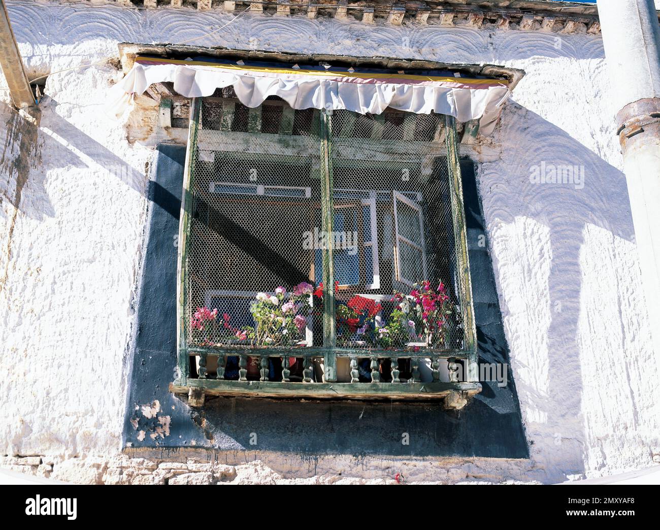 Bajiao hi-res stock photography and images - Alamy