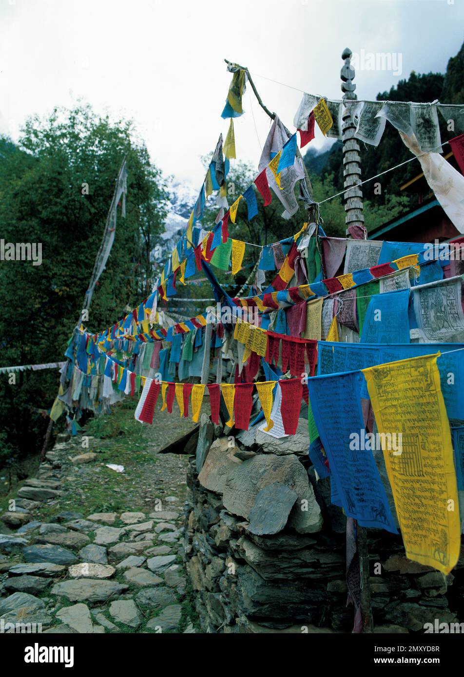 Mingyong hi-res stock photography and images - Alamy