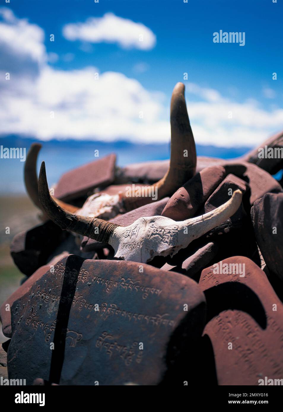 Namco tibet hi-res stock photography and images - Alamy