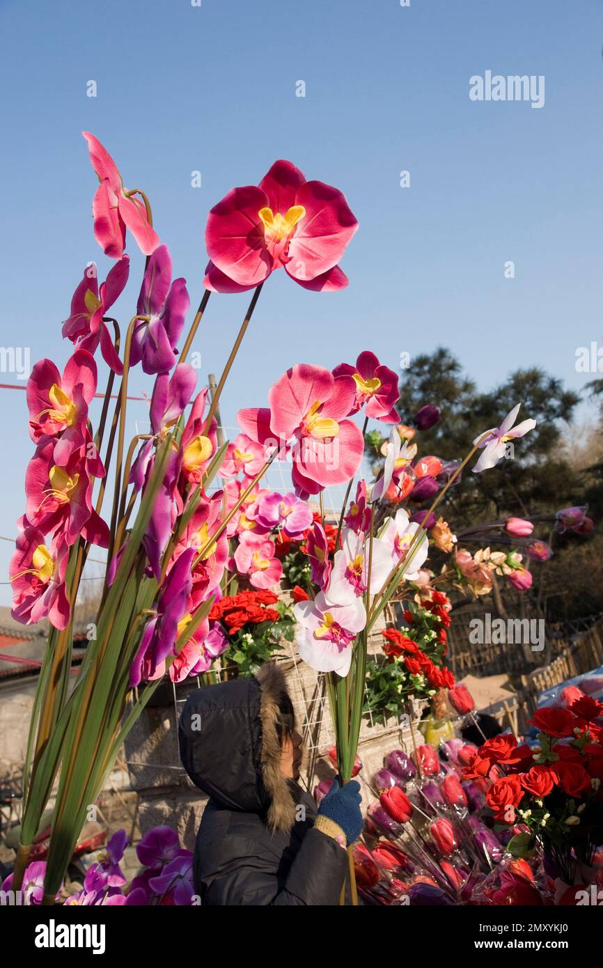White cloud temple fair park in Beijing in 2008 Stock Photo - Alamy