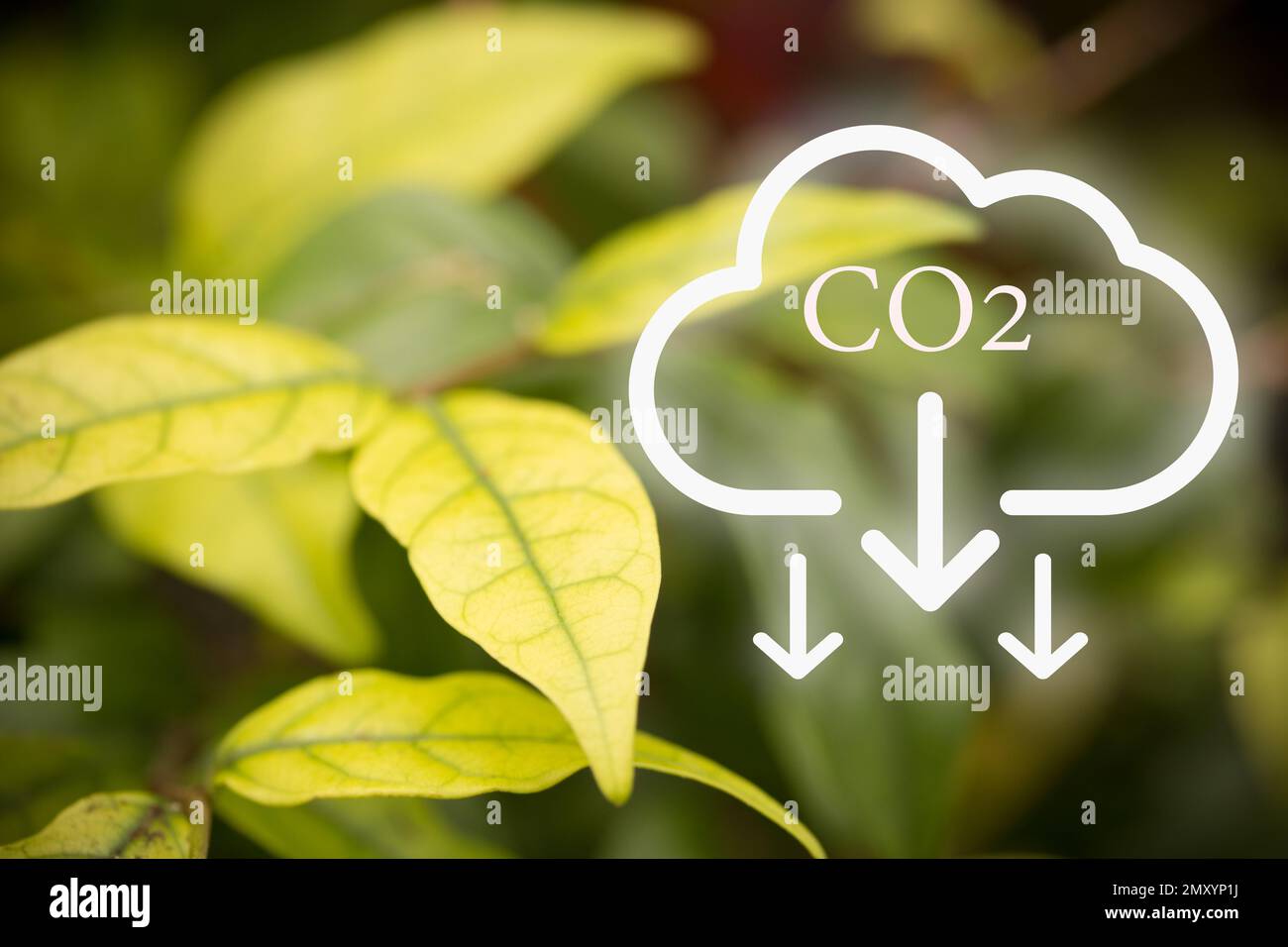 Clean environment without carbon dioxide emissions. Modern eco ...