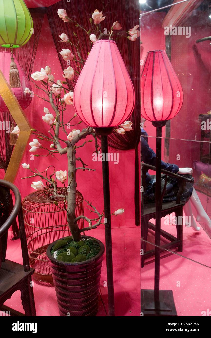 The Spring Festival shopping window Stock Photo - Alamy