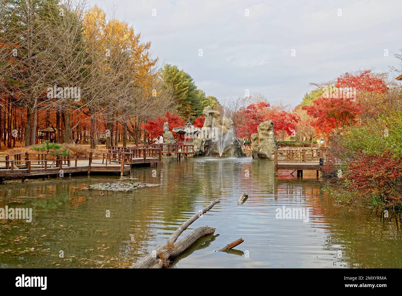 Nami island korea hi-res stock photography and images - Alamy