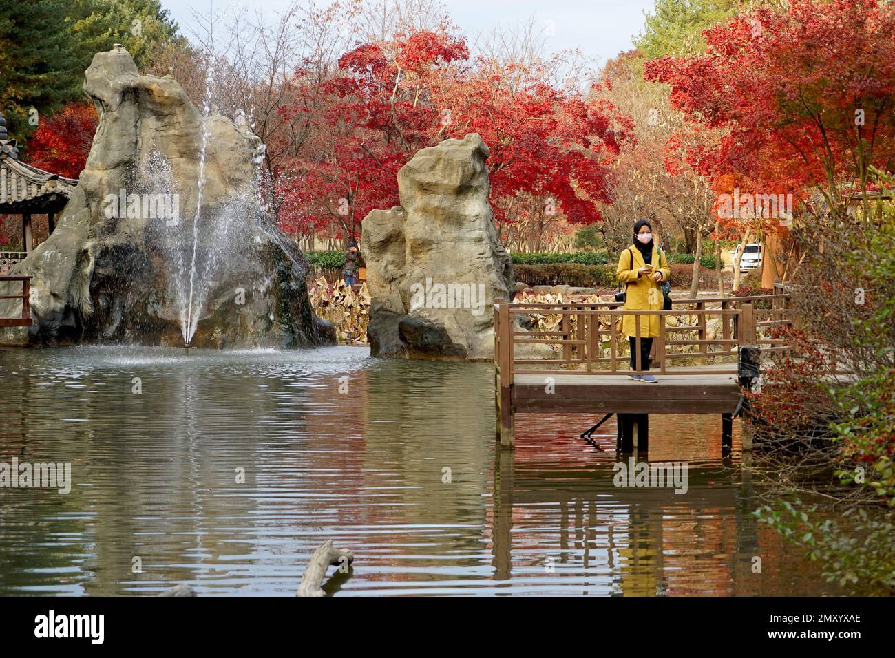 Nami island korea hi-res stock photography and images - Alamy