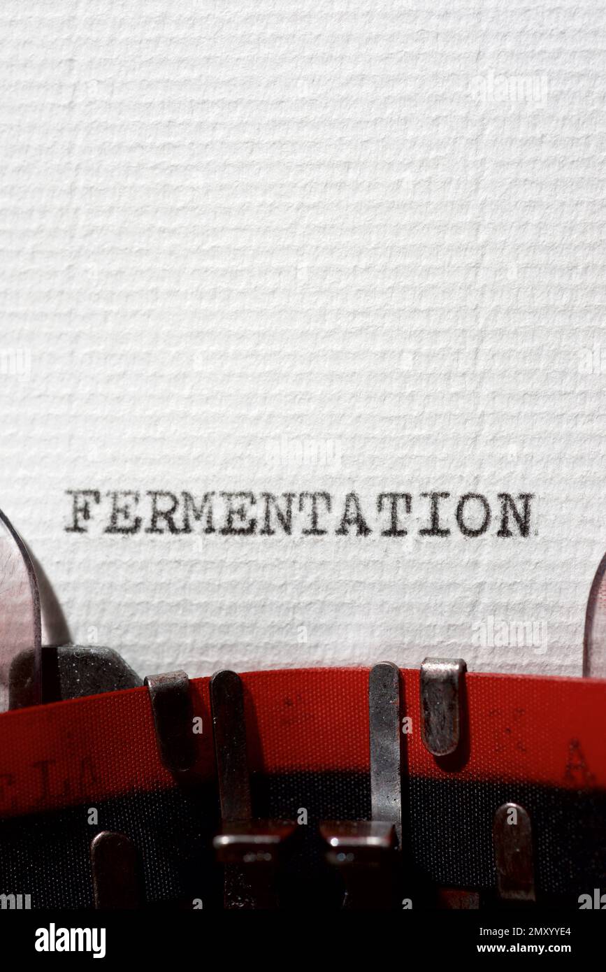 Fermentation word written with a typewriter Stock Photo - Alamy