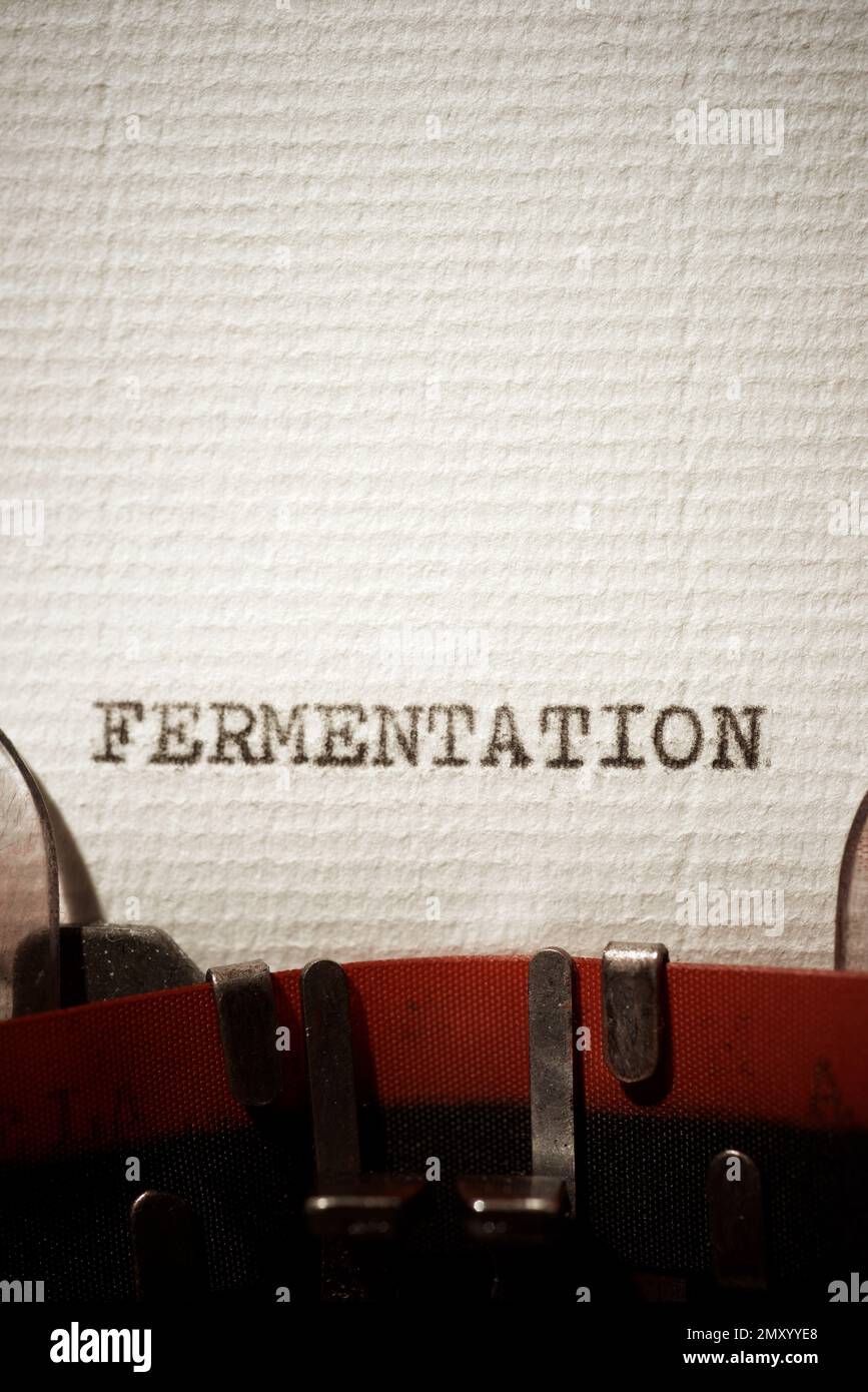 Fermentation word written with a typewriter Stock Photo - Alamy