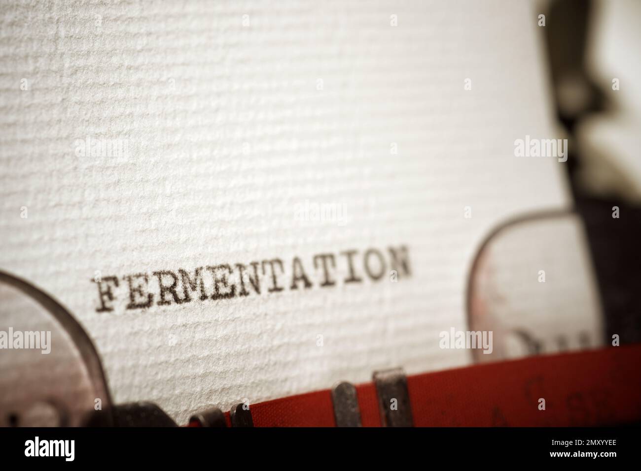 Fermentation word written with a typewriter Stock Photo - Alamy