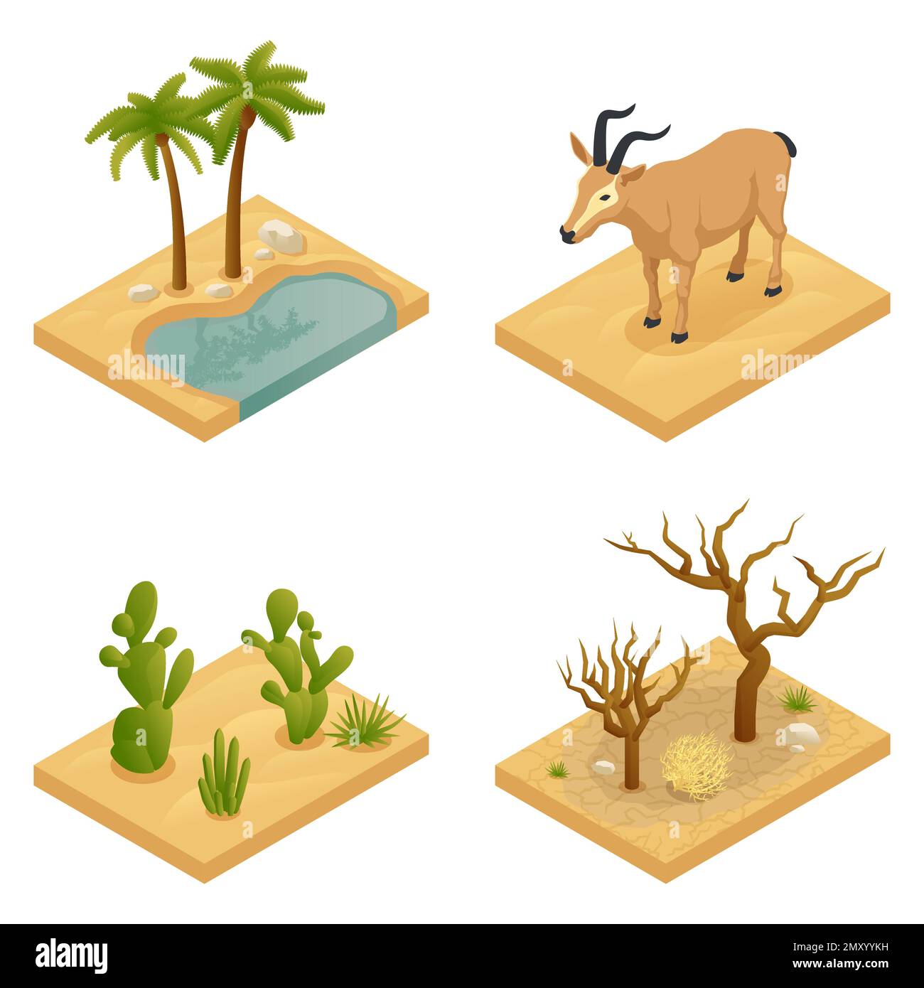 Desert four isolated elements illustrated landscape with drought oasis ...