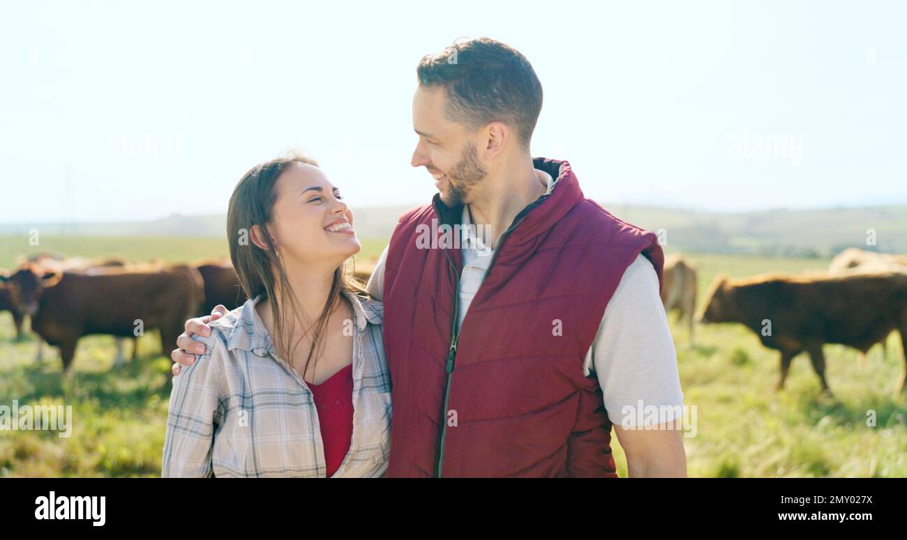 Cow, love and happy couple on a cattle farm hugging, bonding and enjoy ...