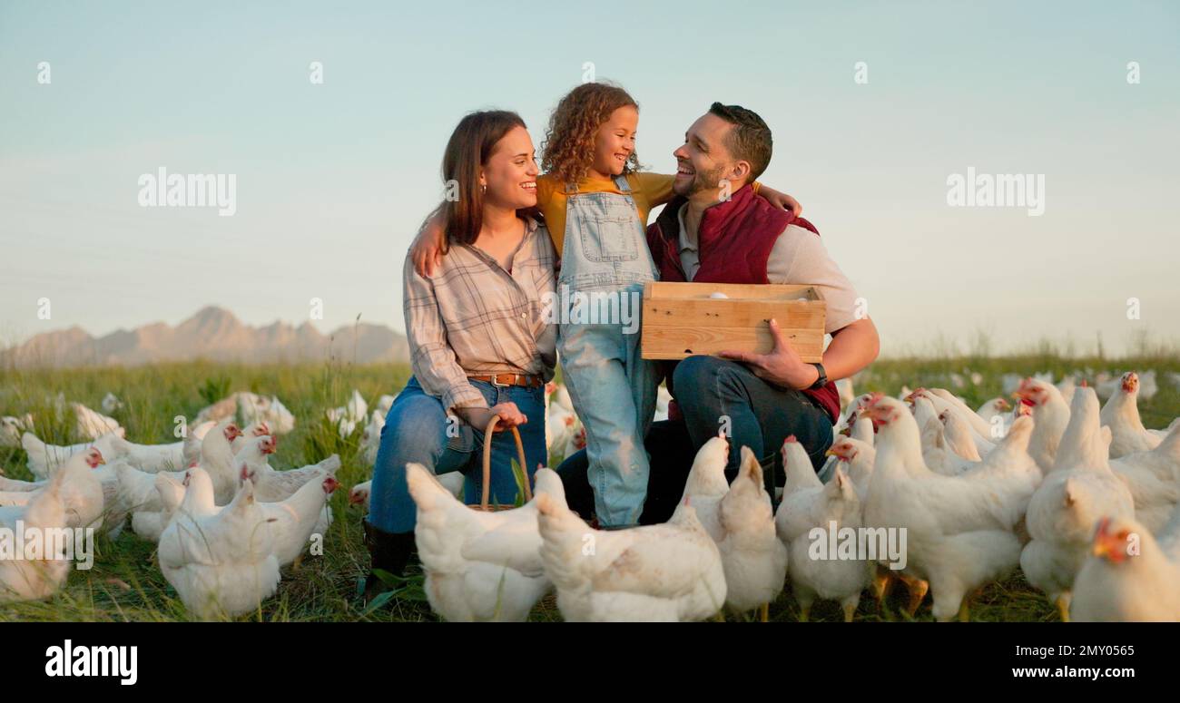 Chicken farming, eggs and family on field for sustainability love, care ...