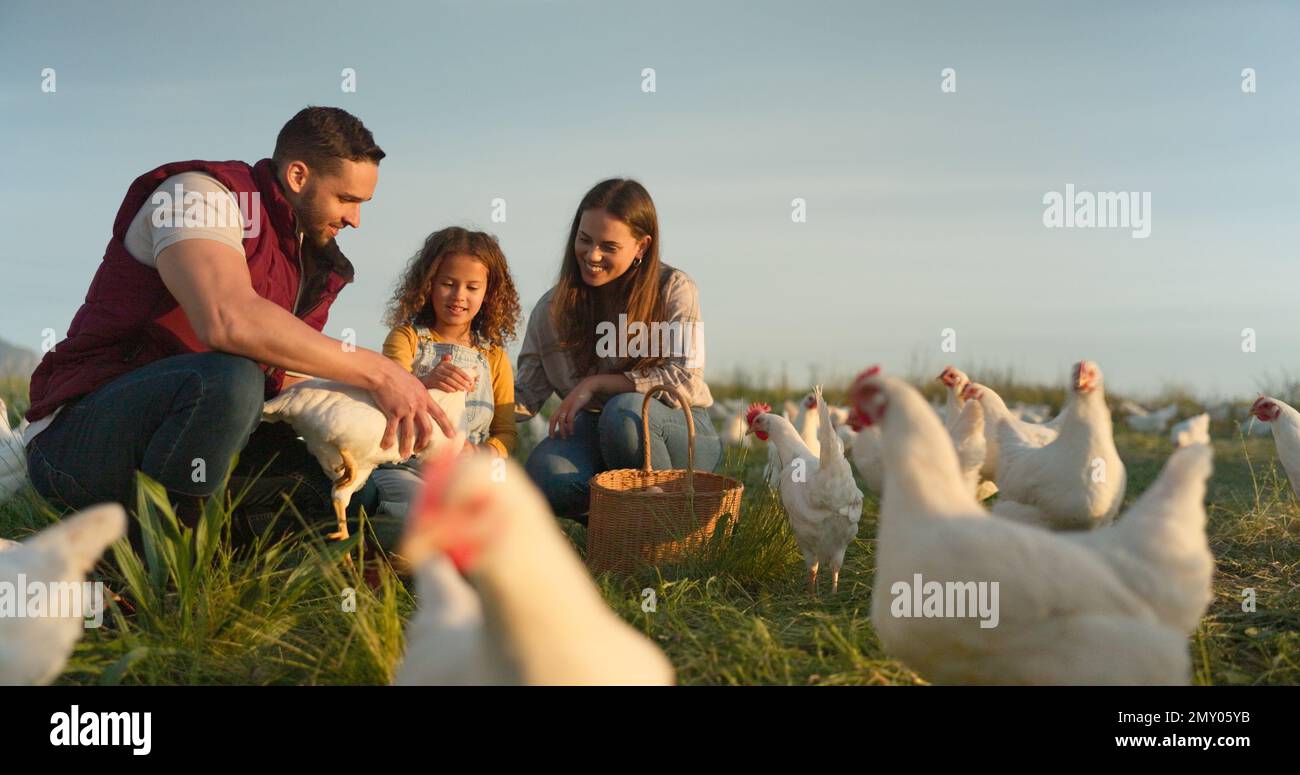 Chicken, farm and family love of happy mom, dad and child enjoy quality ...
