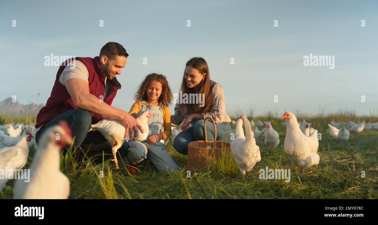 Chicken, farm and family love of happy mom, dad and child enjoy quality ...