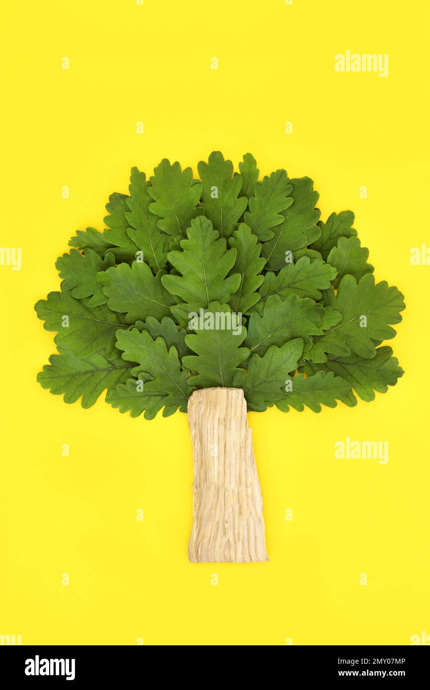 Surreal oak tree shape abstract concept symbol with green leaves and ...