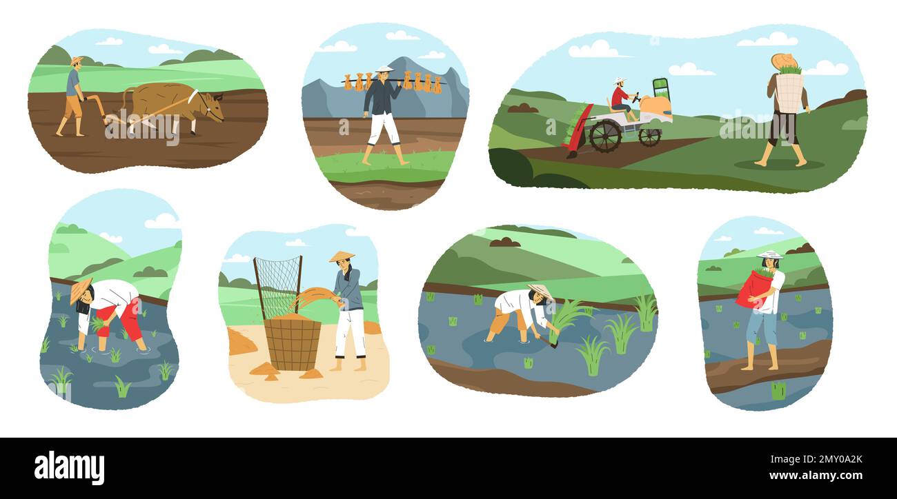 Male and female asian farmers ploughing and harvesting flat compositions set isolated vector ...