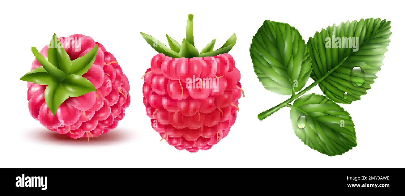 Realistic raspberry icons set with berries and leaves on white ...