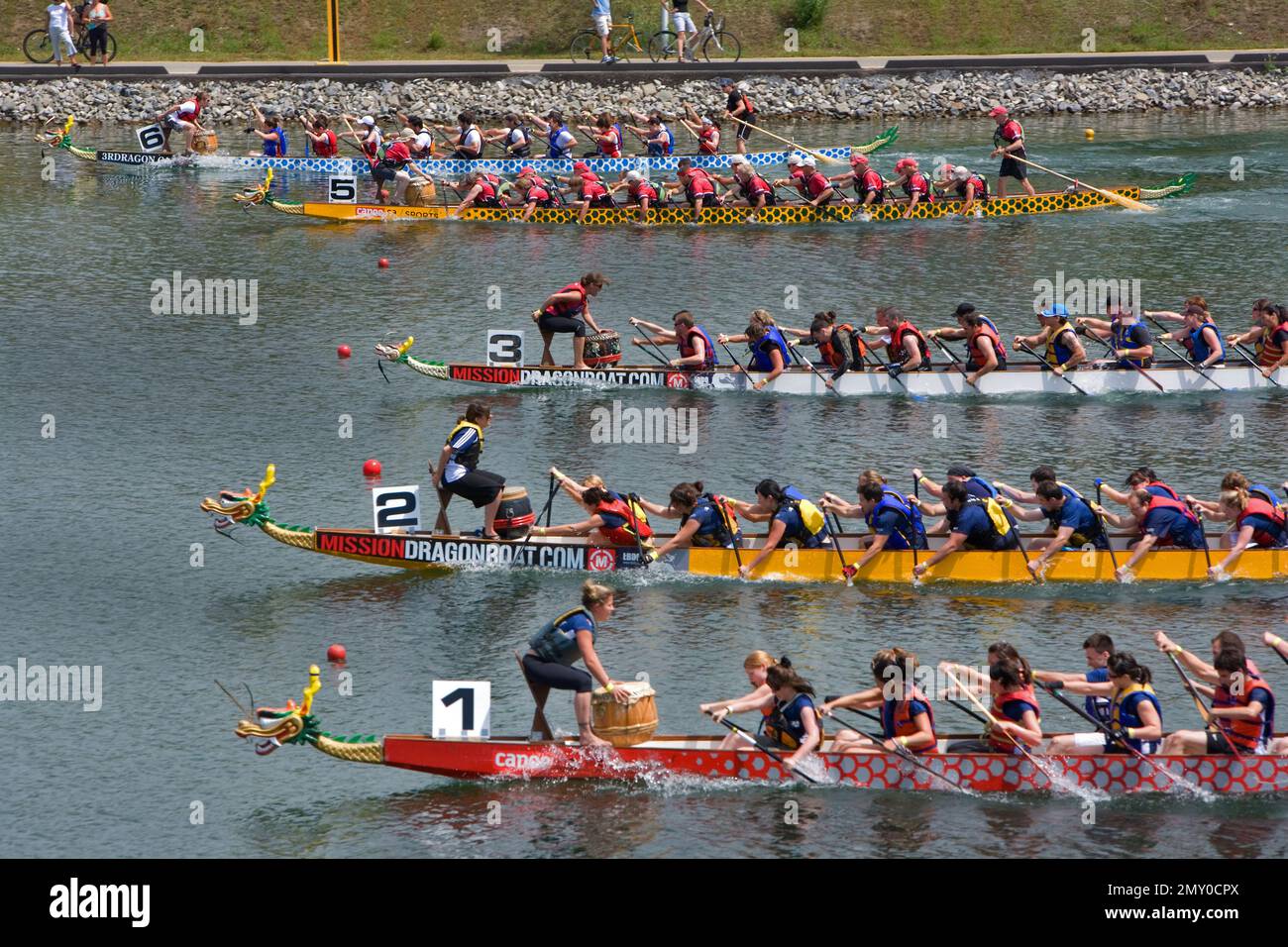 Dragon Boat Races in Montreal Canada Stock Photo - Alamy