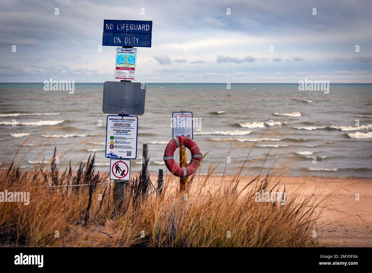 Winter on Lake Michigan, with storm clouds and dried beach grass, at ...