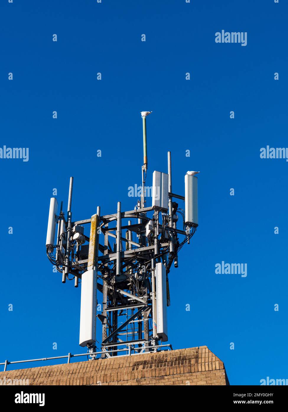 Cell tower on building, UK Stock Photo - Alamy