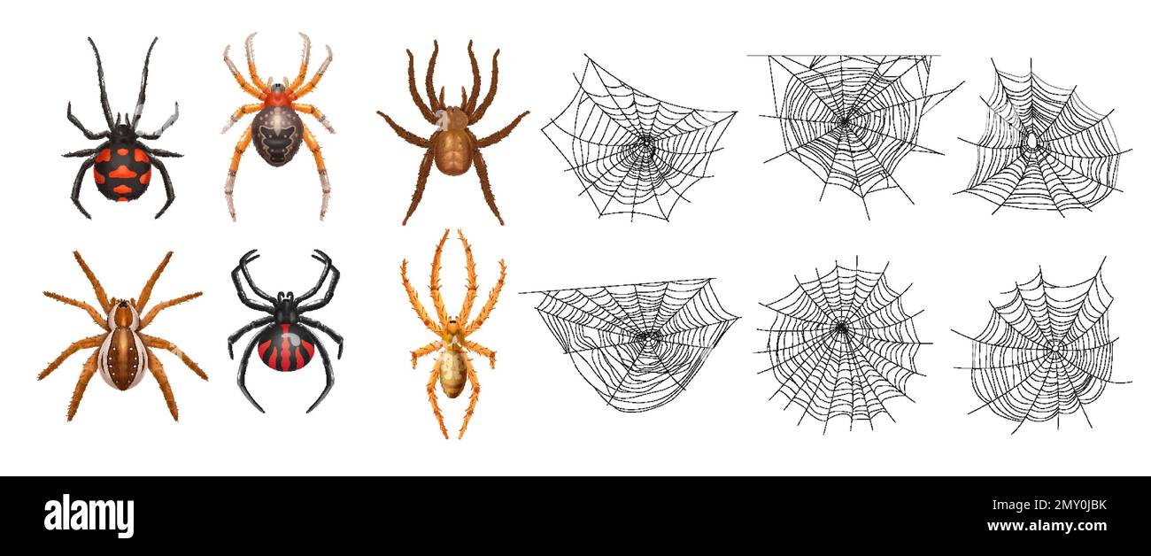 Realistic isolated spider web icon set with six spiders and different ...