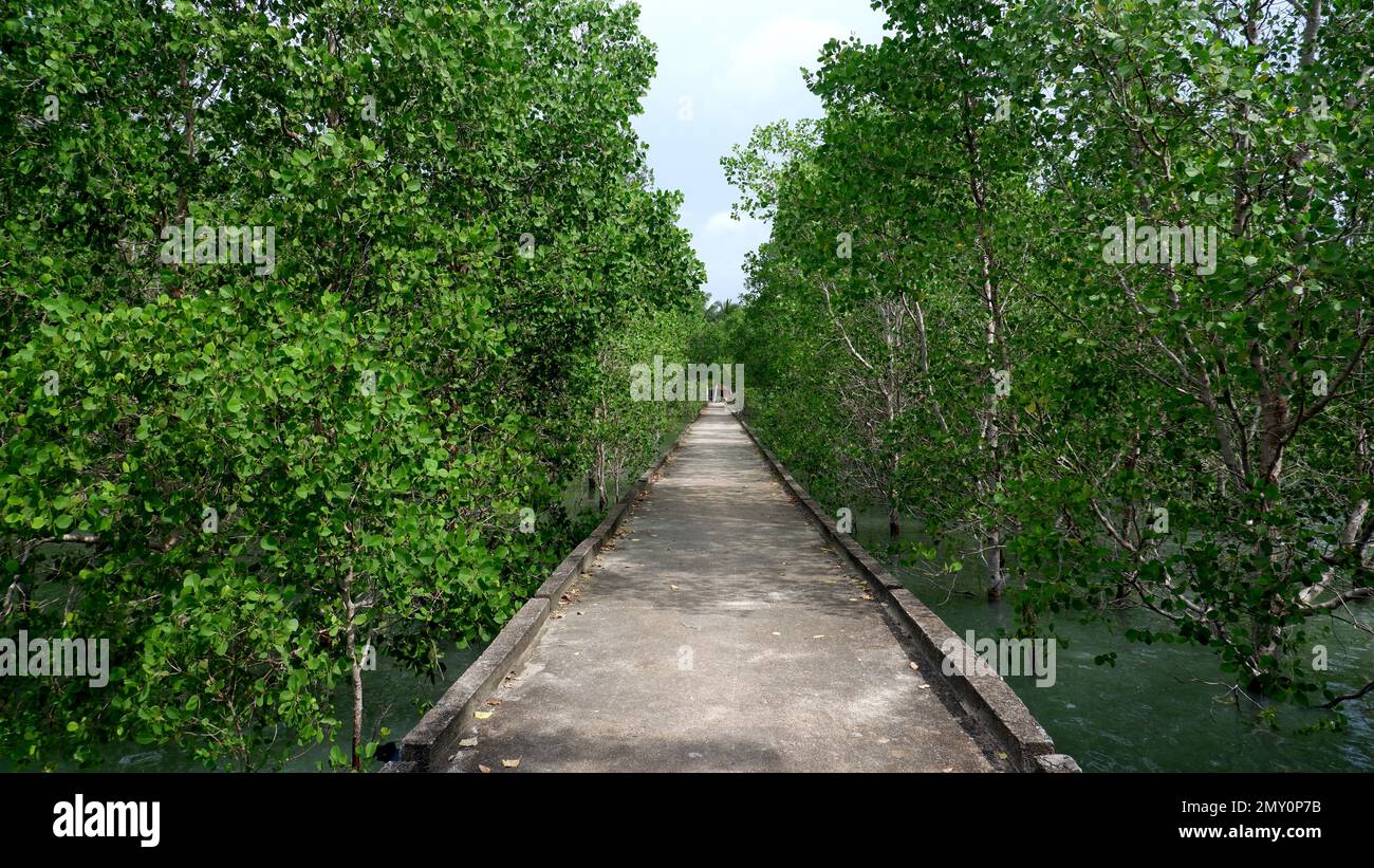 Marina green park long beach hi-res stock photography and images - Alamy