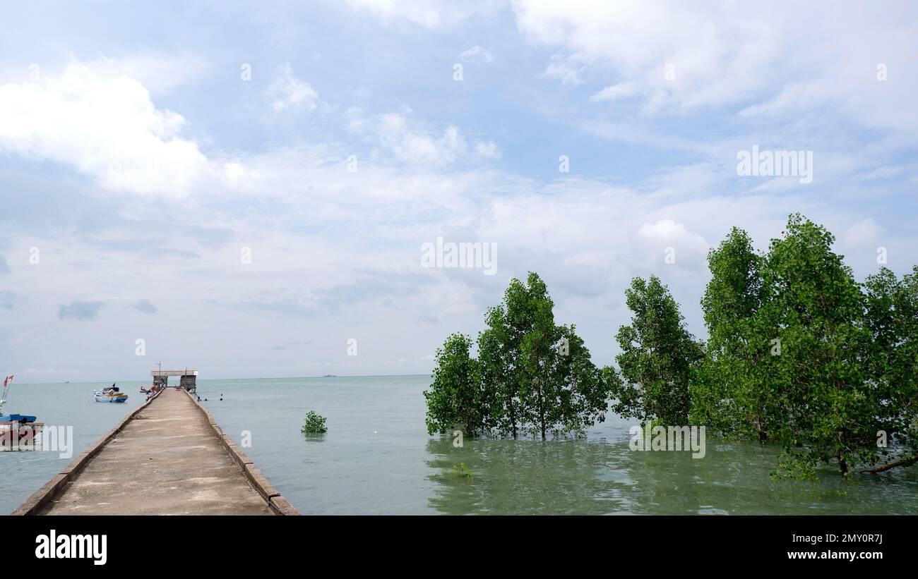 Long Concrete Jetty Over High Tide, With Several Boats And Avicennia ...